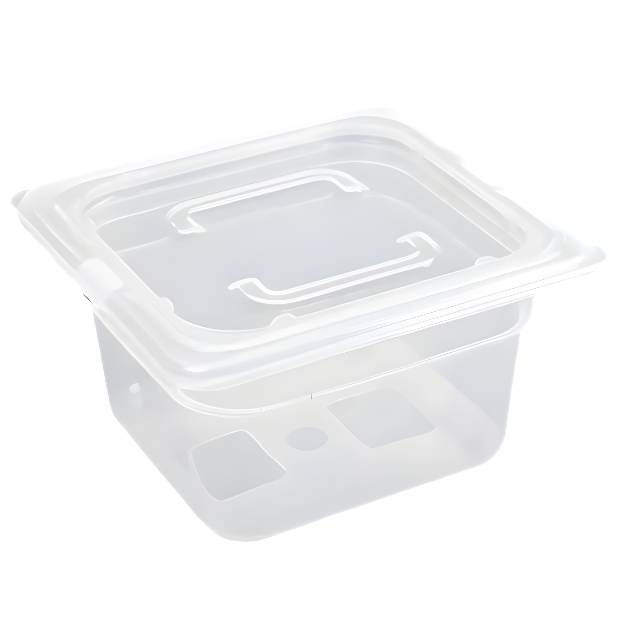 INSERTO POLIPRO 1/6 x 4.0" C/TAPA – Distribuidora Aliton